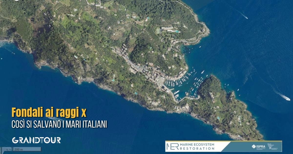 I fondali ai raggi X dallo Spazio: le prime straordinarie immagini del ...